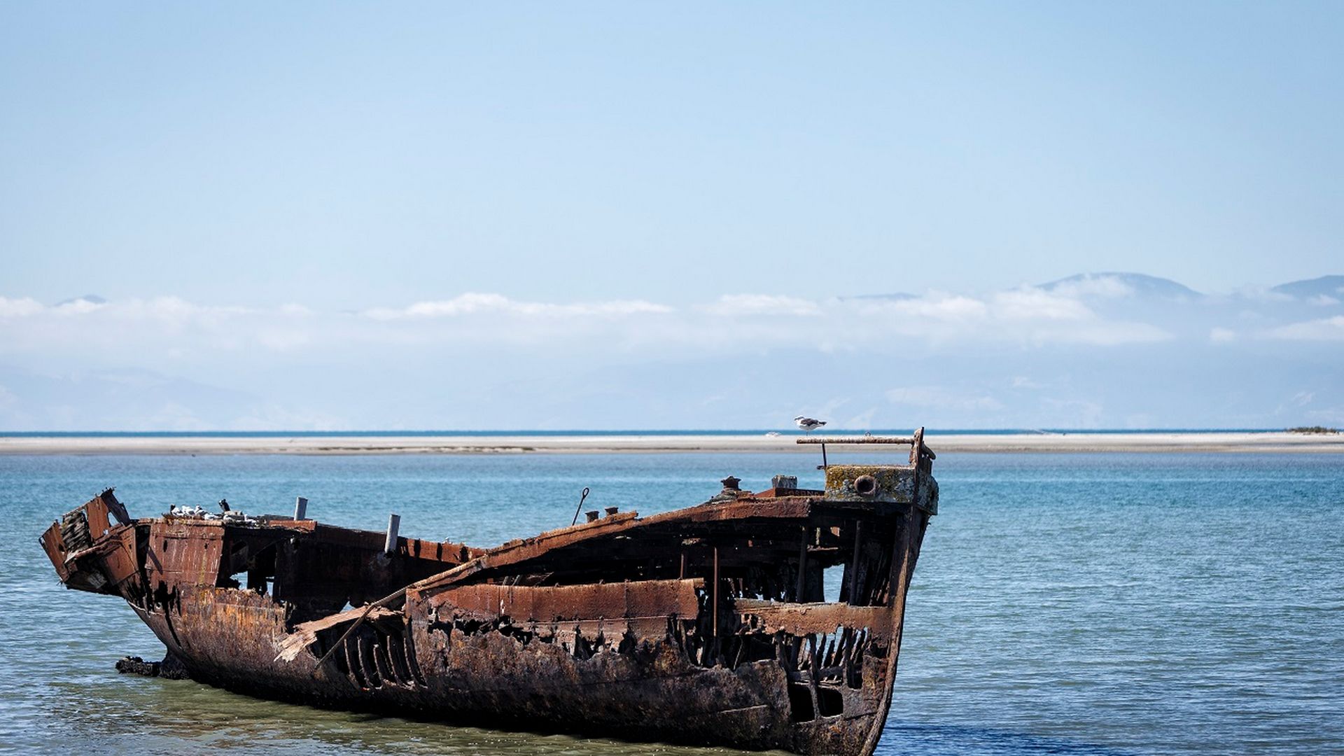 See the Shipwreck | Things to Do Kaiteriteri