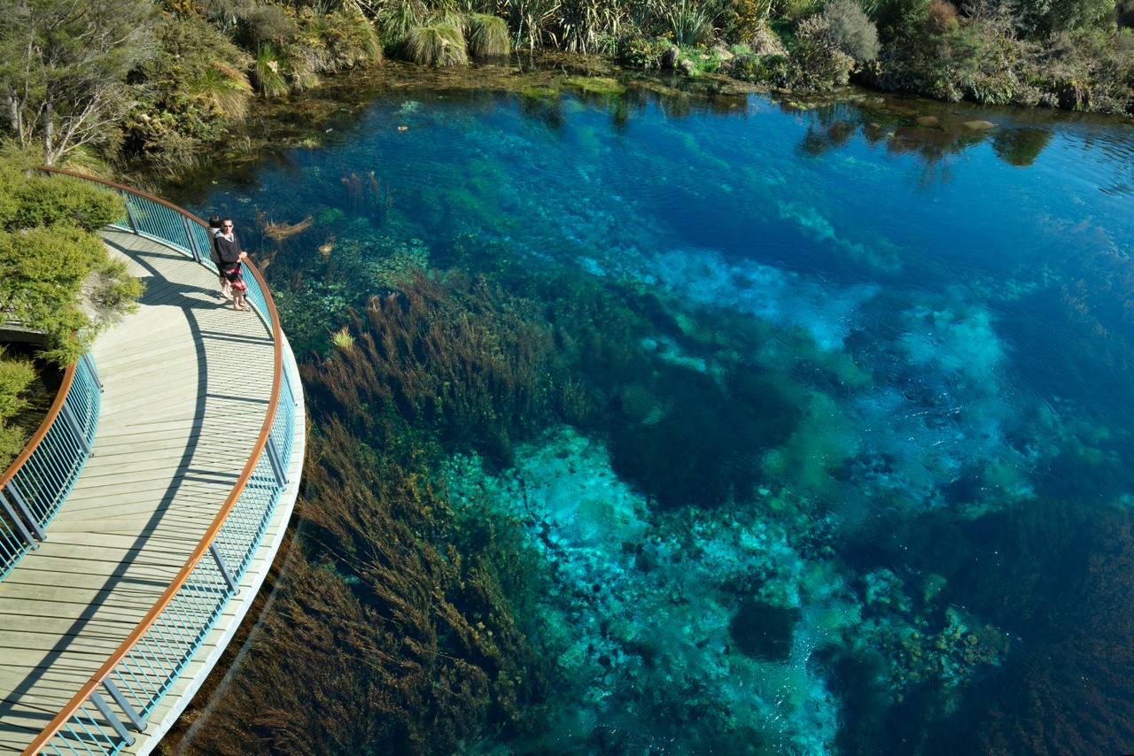 Mesmerizing Te Waikoropupū Springs: Explore a Sacred Natural Wonder